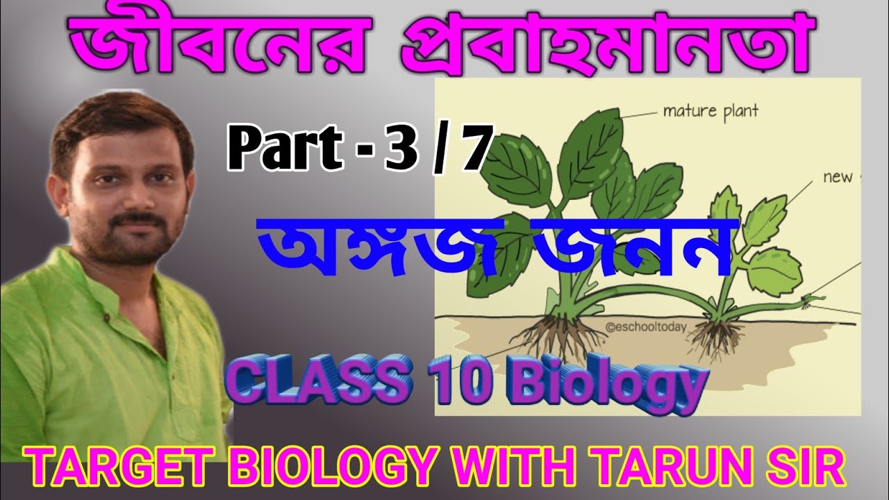 Vegetative reproduction | Class 10 biology in bengali | Part 3/7 | unit ...