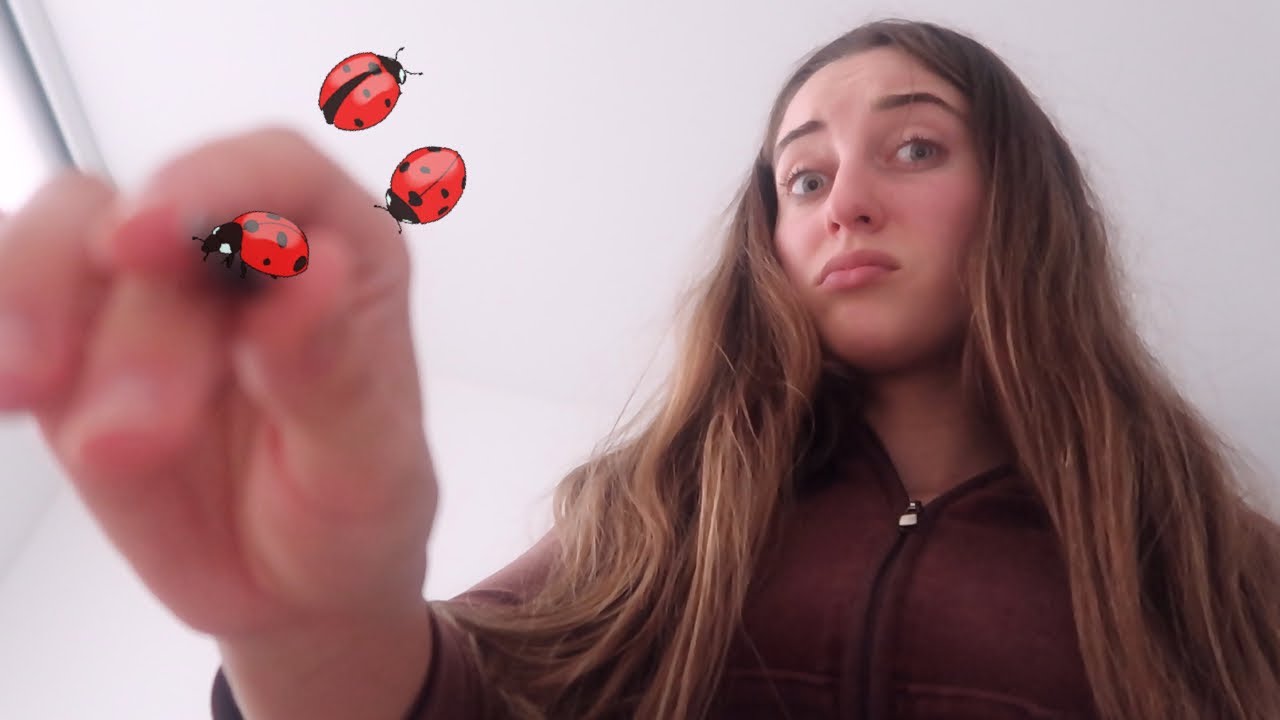 ASMR Plucking Bugs Off Your Face - YouTube
