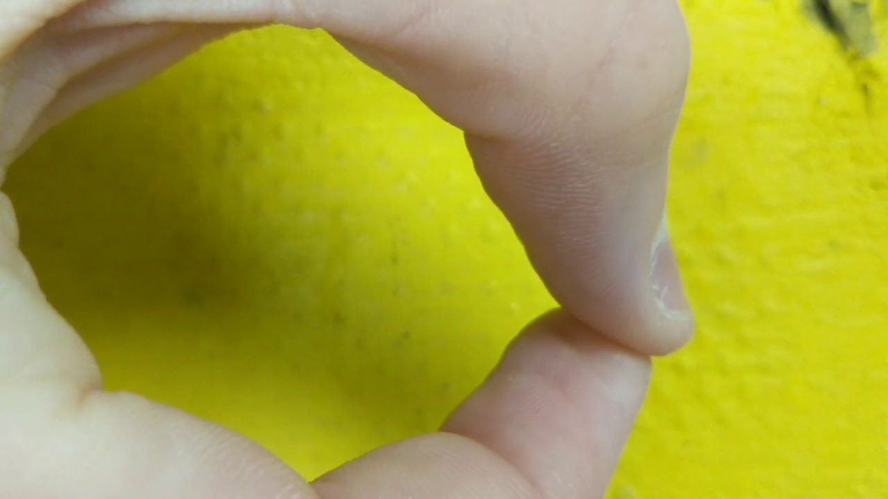 The Yellow Pole - YouTube