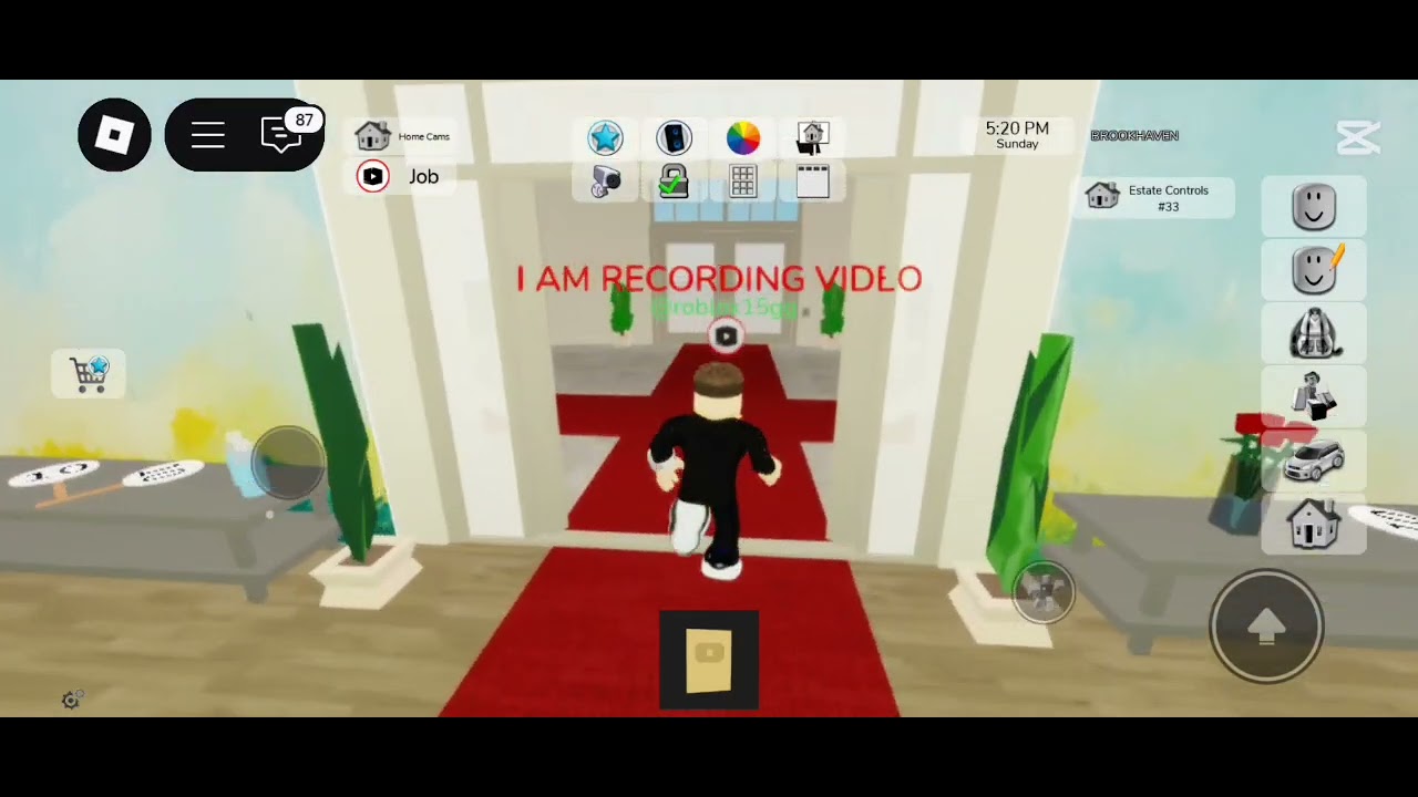 Playing brookhaven #roblox #brookhaven #brookhavenrp - YouTube