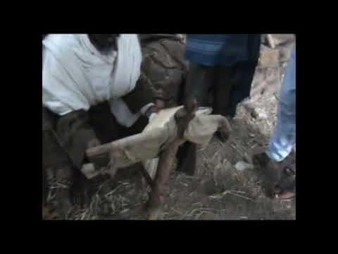 debre abay abune samuel gedam - YouTube