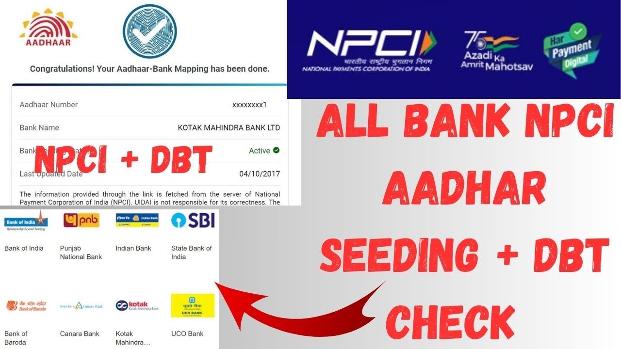 ALL BANK NPCI AADHAAR SEEDING + DBT STATUS CHECK ONLINE 2024 | NPCI+DBT ...