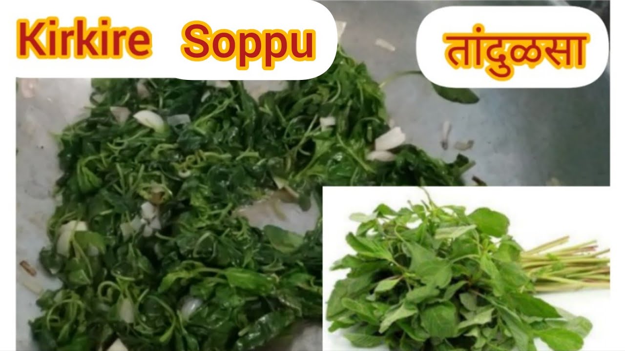 तांदुळसा भाजी kirkire soppu - YouTube