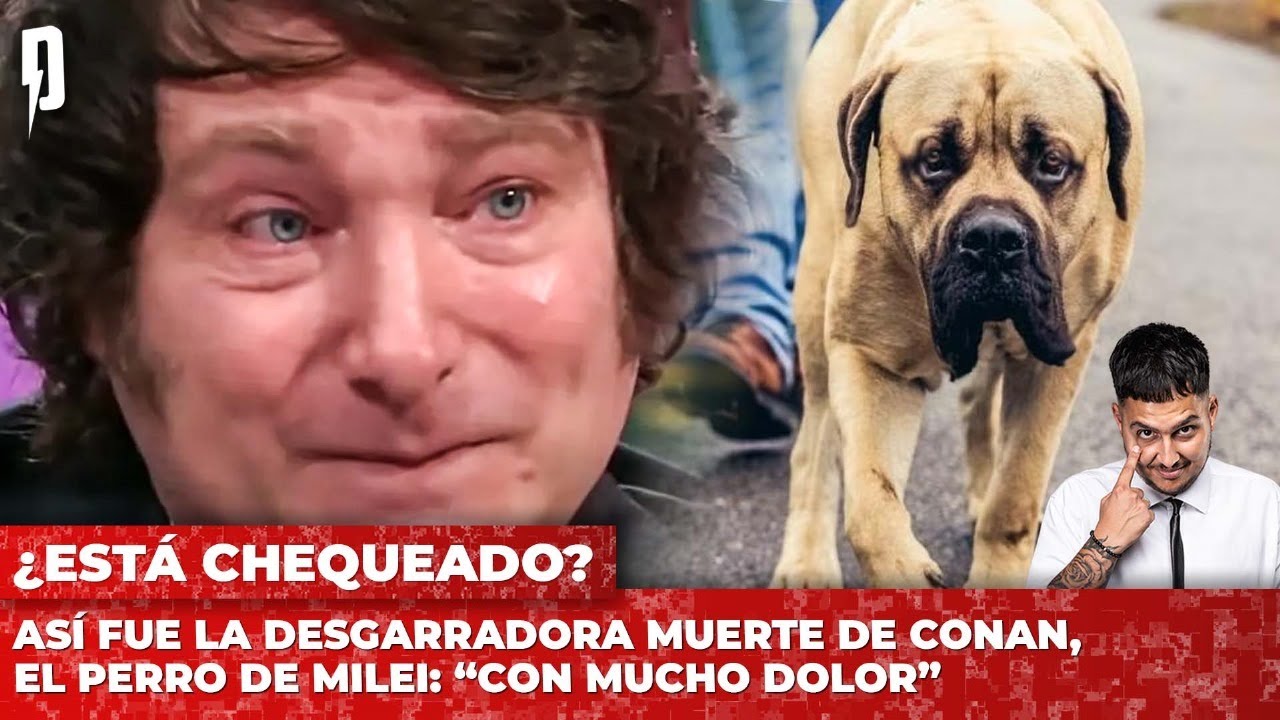 Así fue la desgarradora muerte de Conan, el perro de Milei: “Con mucho ...