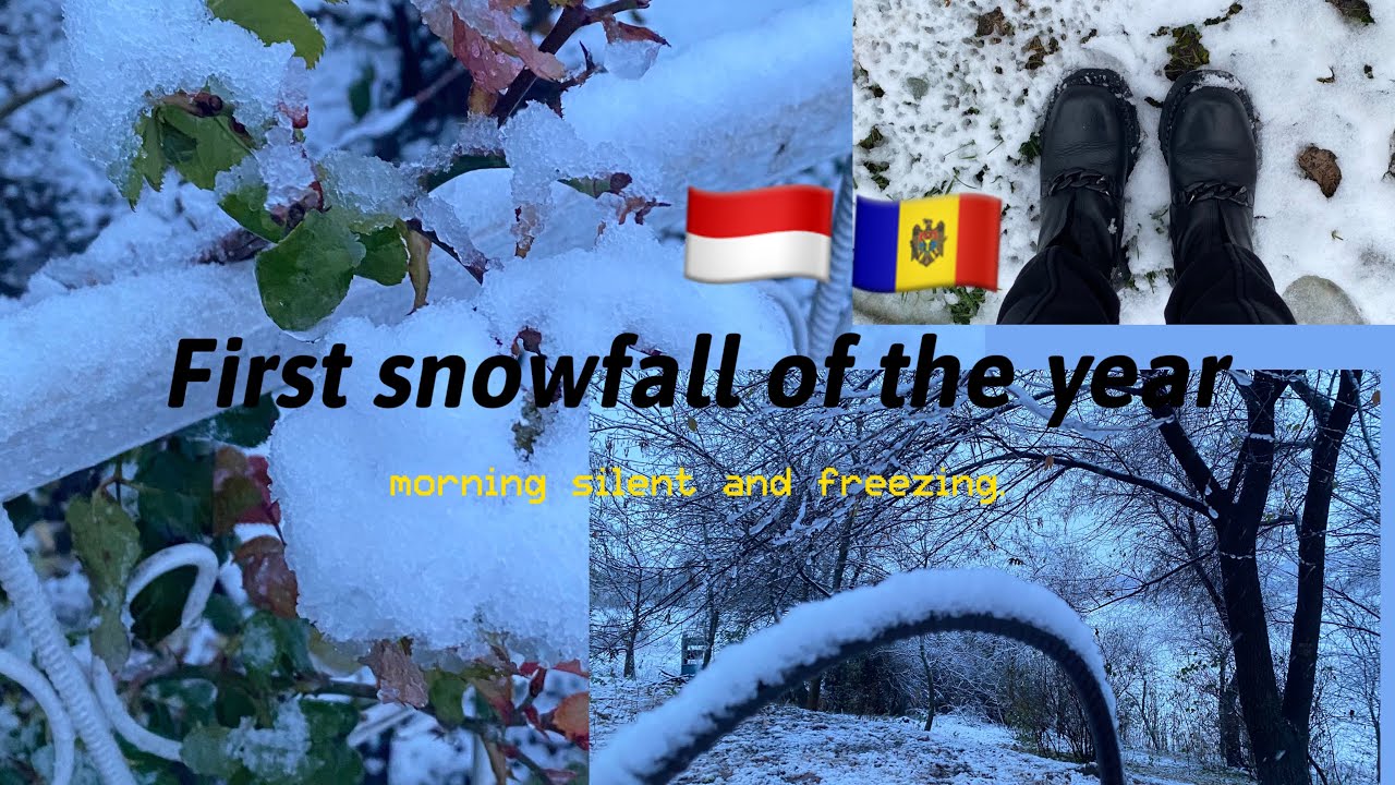 #001 First snowfall of the year, morning silent and freezing in County ...
