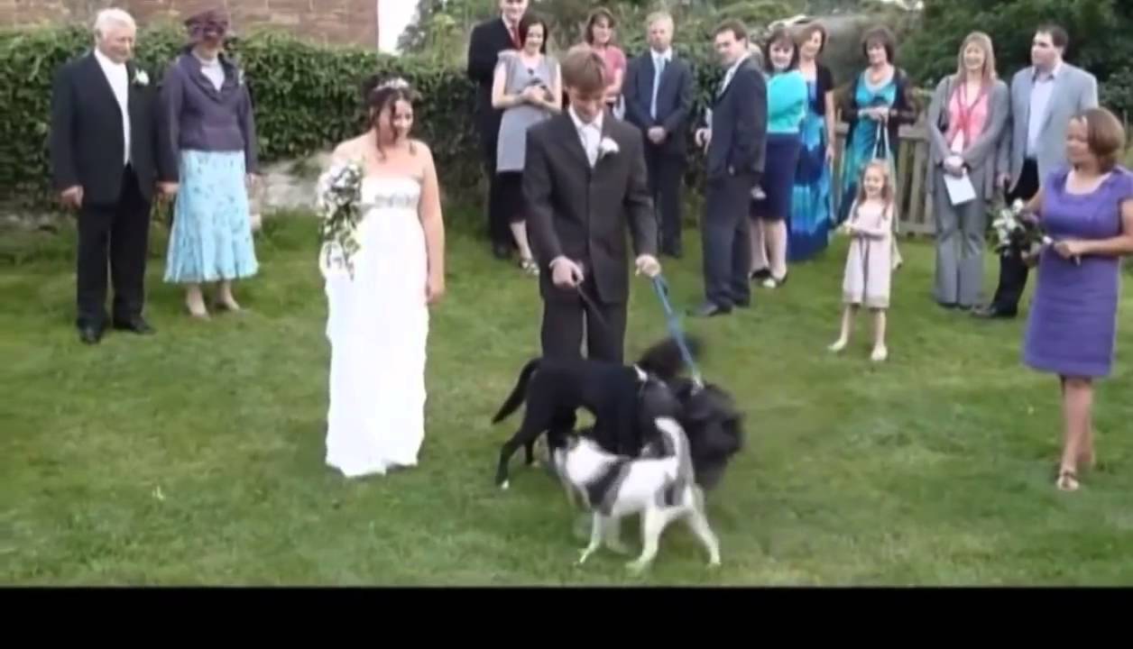 Wedding Fails Compilation 2016 Epic Wedding Fail Compilation funny ...