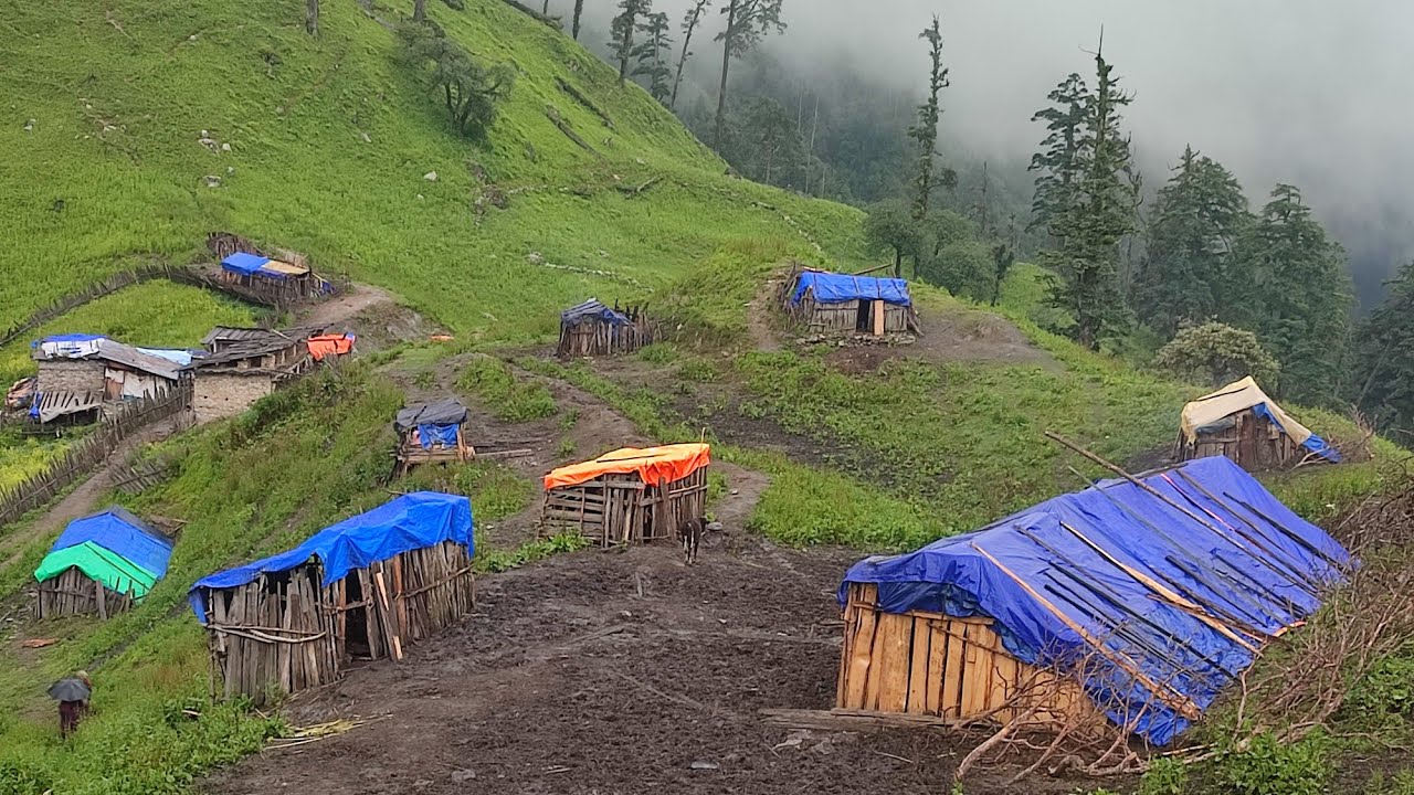 This is Himalayan Life | Village Life | Nepal 🇳🇵| Ep-97 | Living With ...