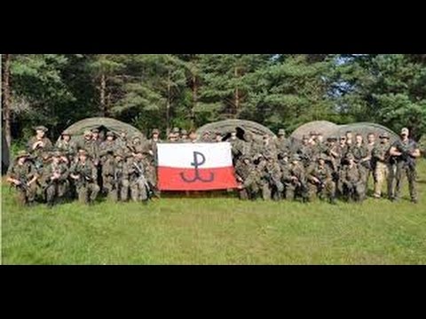 A. Macierewicz - Obrona terytorialna, Szczyt NATO, możliwość wydłużenia ...