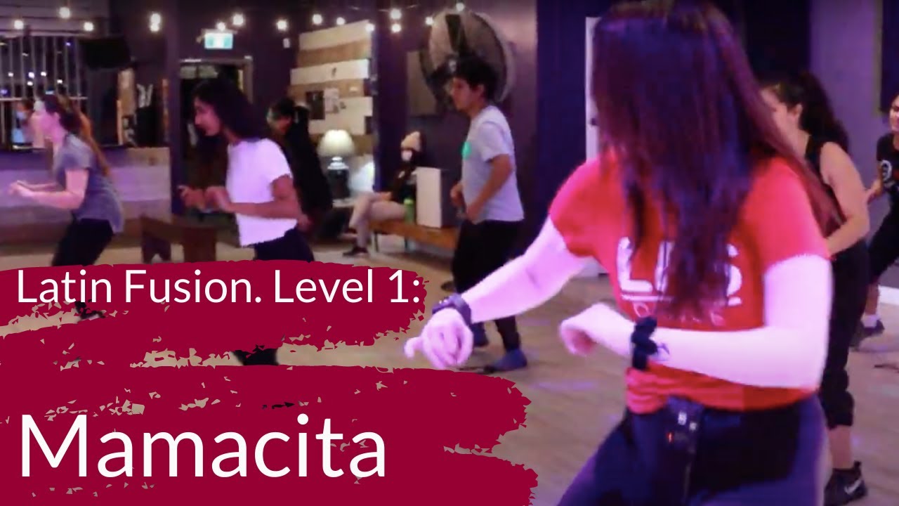 Latin Fusion | Beginner Dance Class | Level 1 Class Footage - YouTube