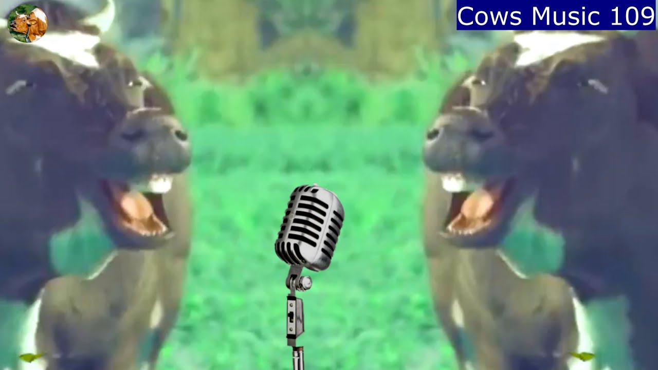FUNNY COW DANCE 109 | COW LOVELY DANCE WITH FUNNY SONG | COWS MUSIC ...