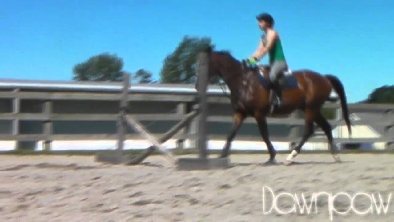 Pretty Much Amazing - YouTube