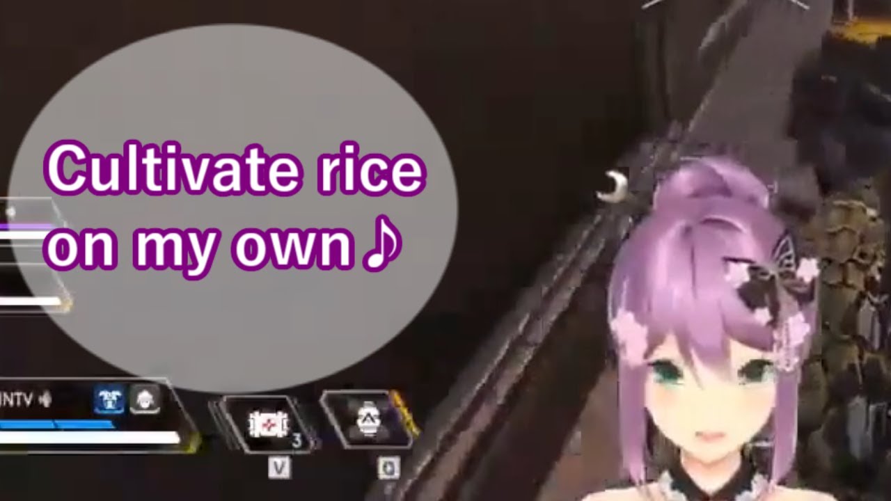 [Eng sub] Sakura Ritsuki started to cltivate rice in a bucket ...