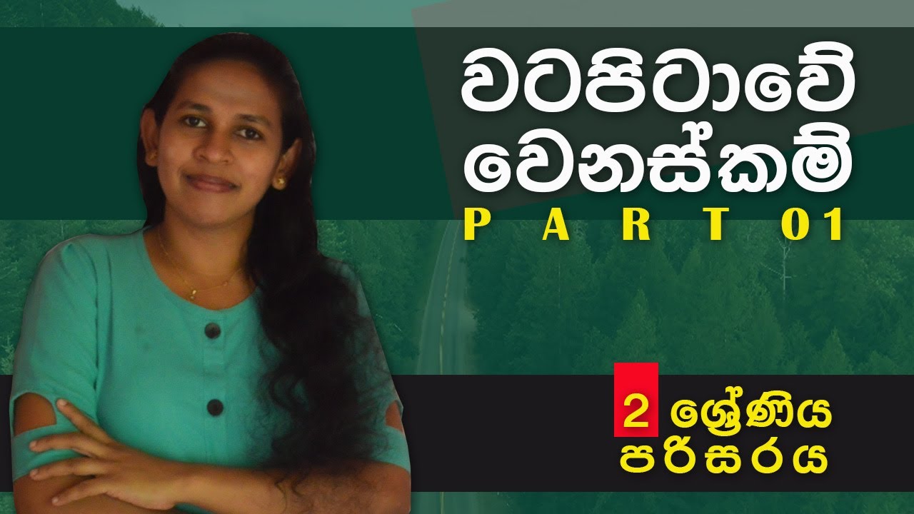Grade 2 Sinhala Lessons| වටපිටාවේ සිදුවන වෙනස්කම් | part 01 - YouTube