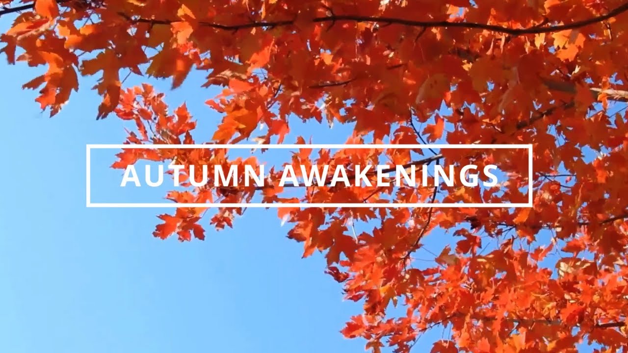 Relaxing Ambient Music for Stress Relief | Beautiful Autumn Landscapes ...
