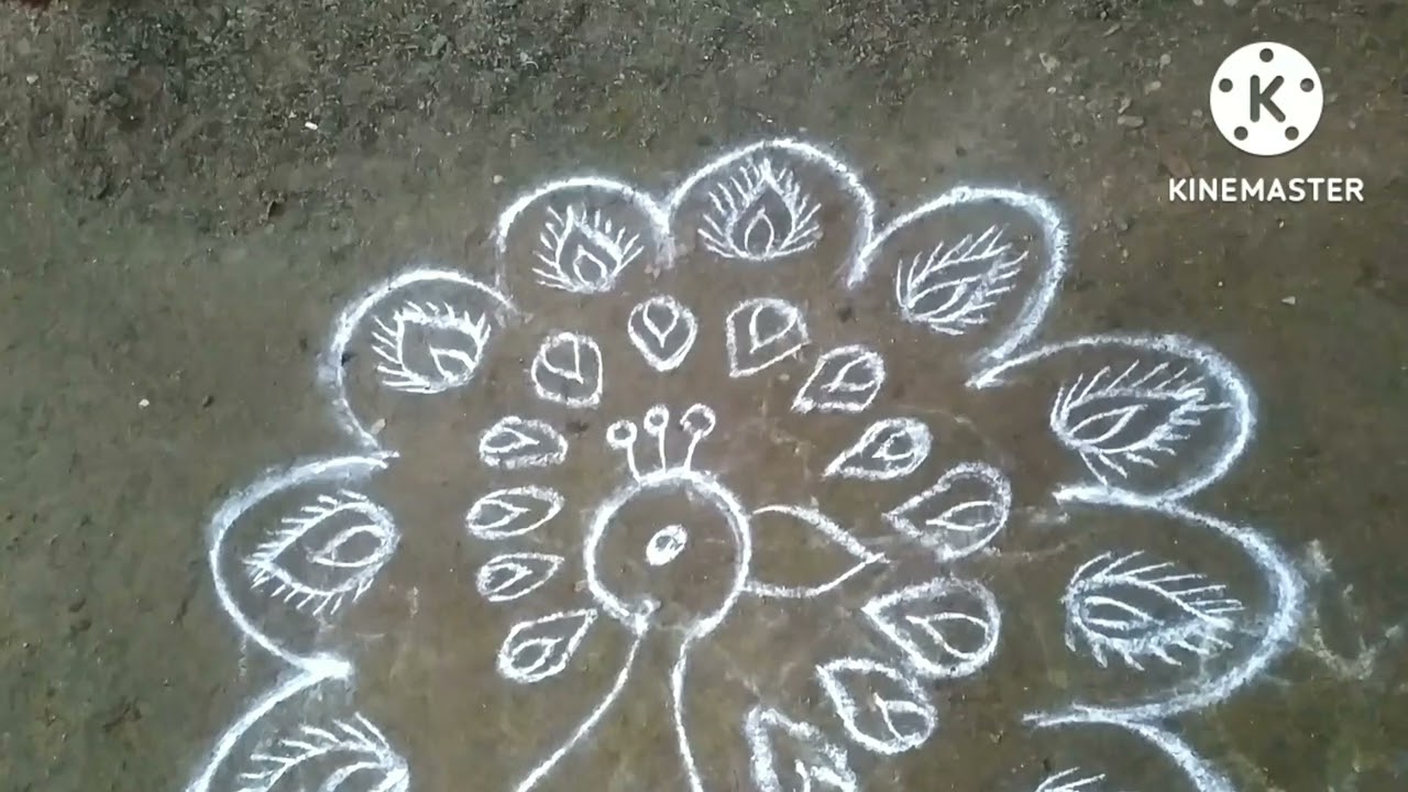 Mayil Rangoli / colour Mayil kolam / #manimegalairangoli - YouTube