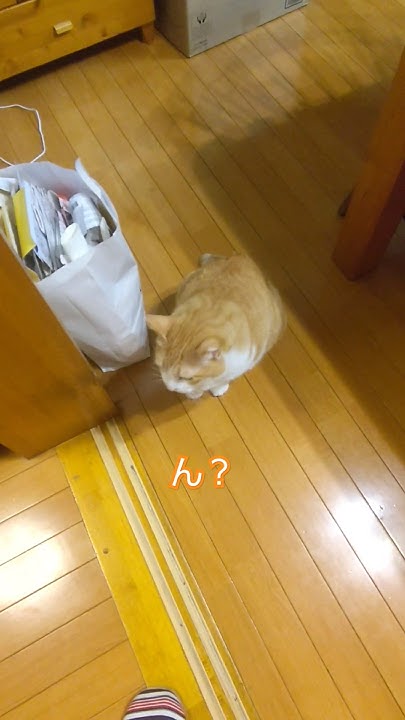 一緒にお風呂入ろうと誘ったら？ Youtube