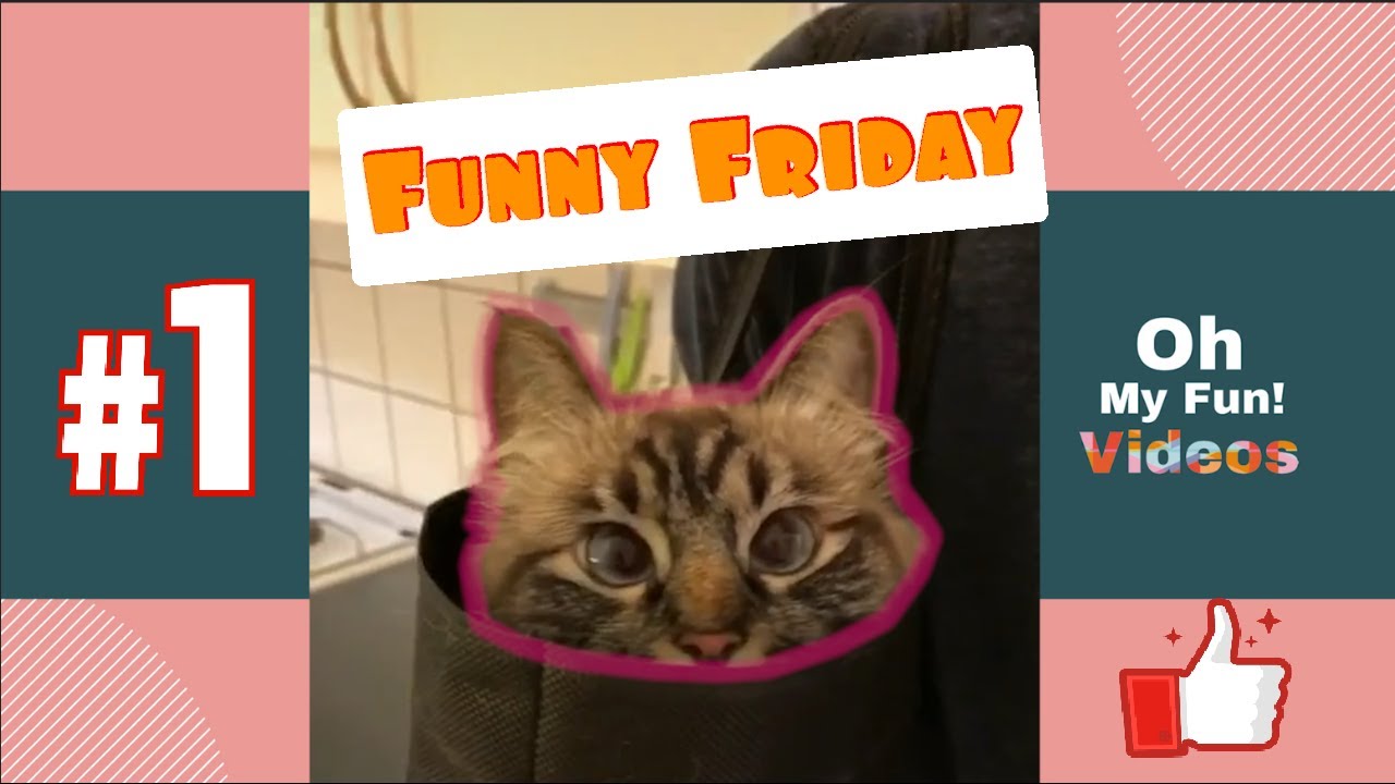 Tik Tok Compilation - Funny Friday #1 - YouTube