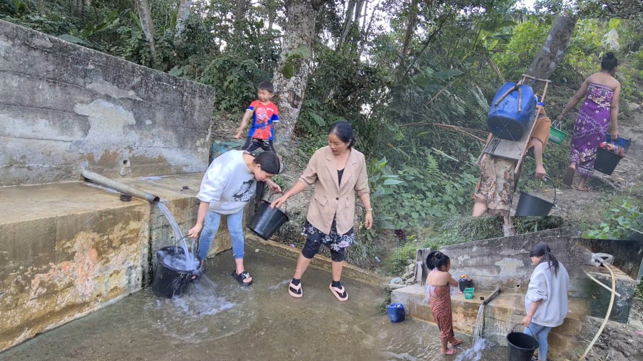 hmoob toj siab ev dej da dej deb2 khwv kawg li - YouTube