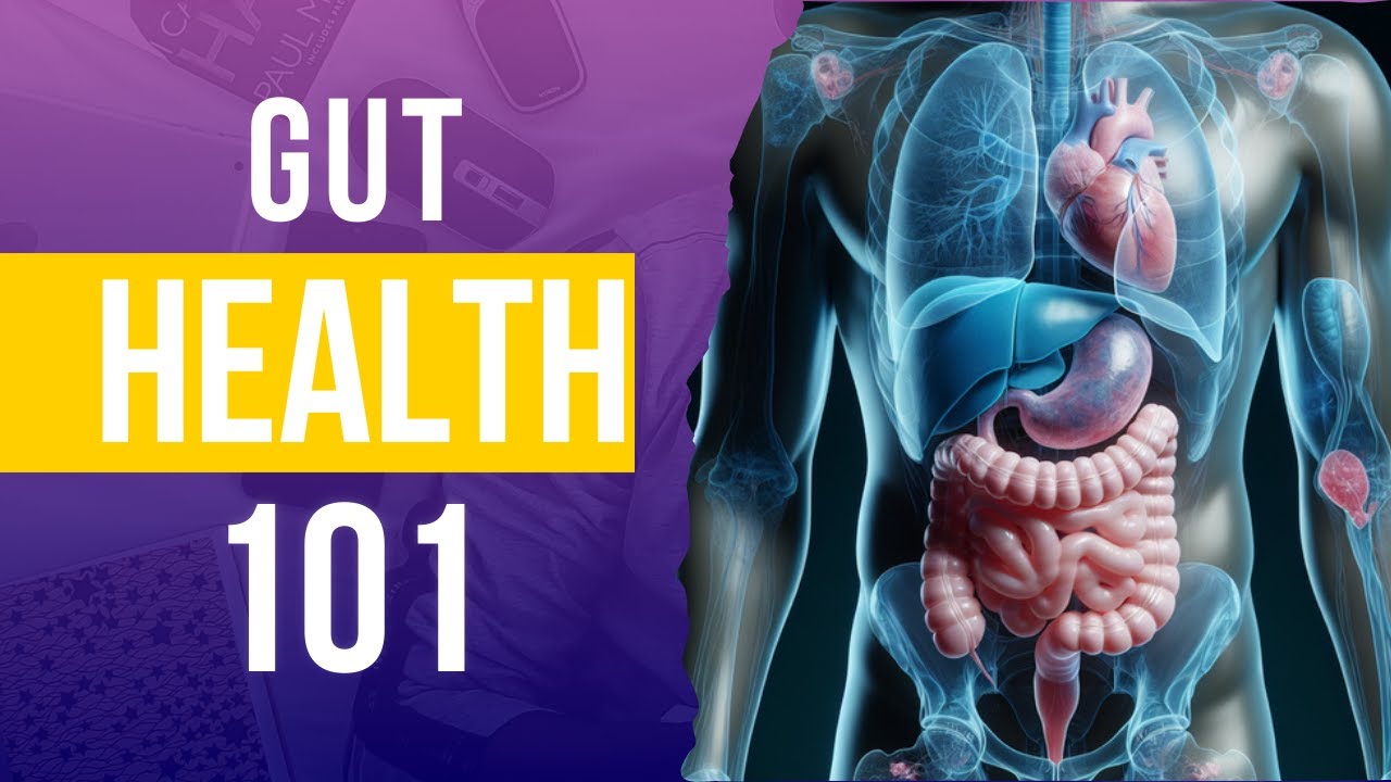 Gut Health 101 What Everyone should know! - YouTube