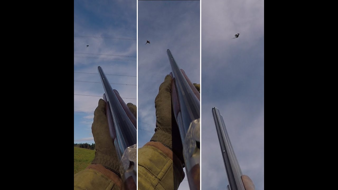 Driven Pheasant Shooting on Exmoor 2016 - Keepers Day Part 1 - YouTube
