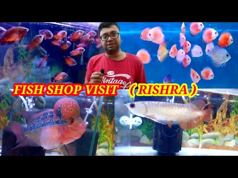 FISH SHOP VISIT 2022 | SUVECHYA AQUA #fishlover2022 #RISHRA - YouTube