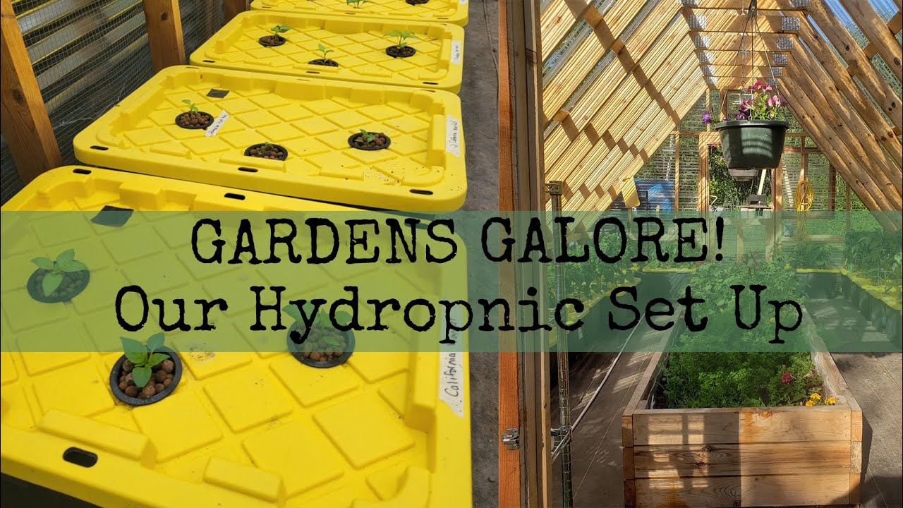 Gardens Galore! Hydroponic set up instructions too! - YouTube