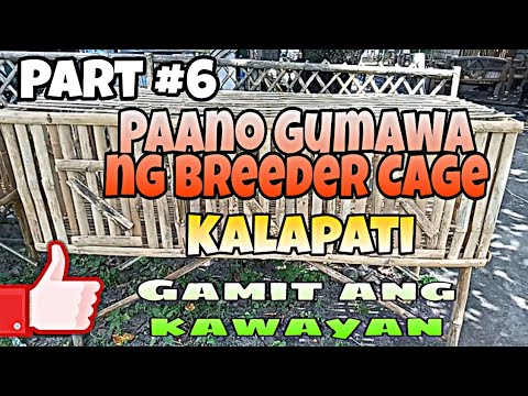 Paano Guamawa ng Breeder Cage ng kalapati gamit ang kawayan. how to ...