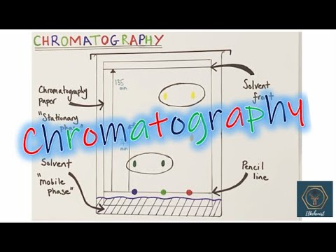 Chromatography & RF Calculations | GCSE - If Confused, This ...