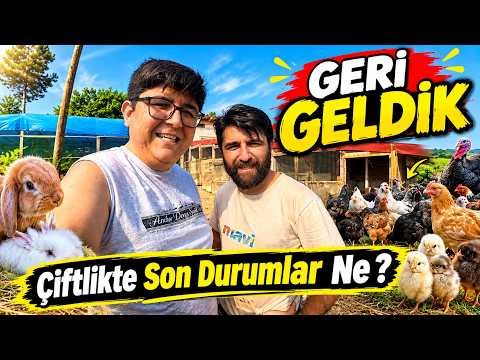 GERİ GELDİK! 🐔 Çiftlikte Son Durumlar Ne? Tavuklar, Tavşanlar ve Yeni Gelişmeler 🌿