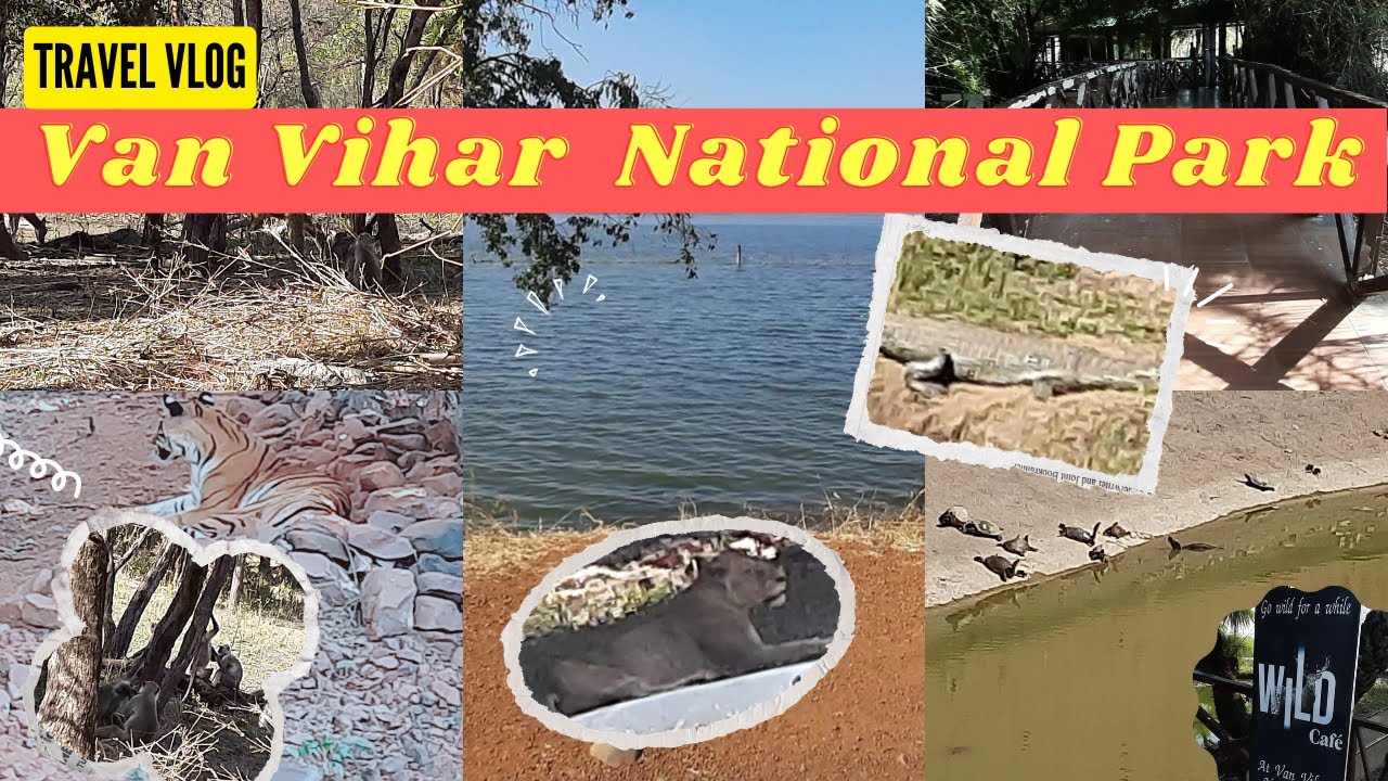 Van Vihar National Park (भोपाल का चिड़ियाघर) #bhopal #zoo #nationalpark ...