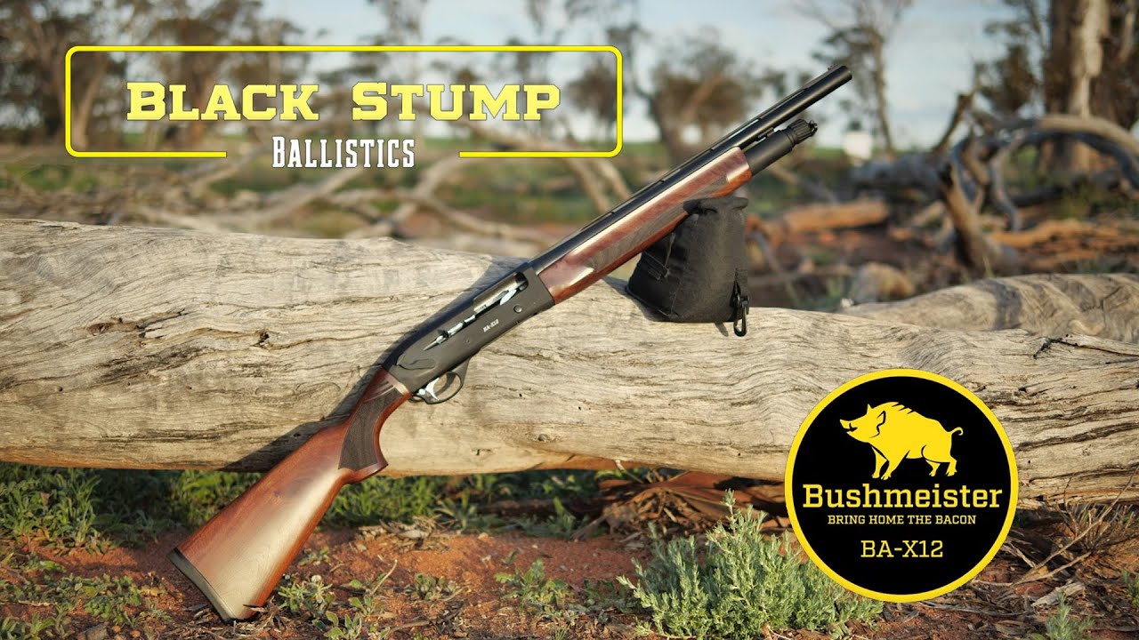 Bushmeister BA-X12 - Review - YouTube