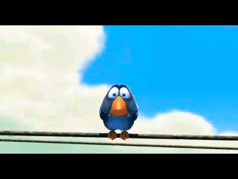 Birds having fun with mom - YouTube