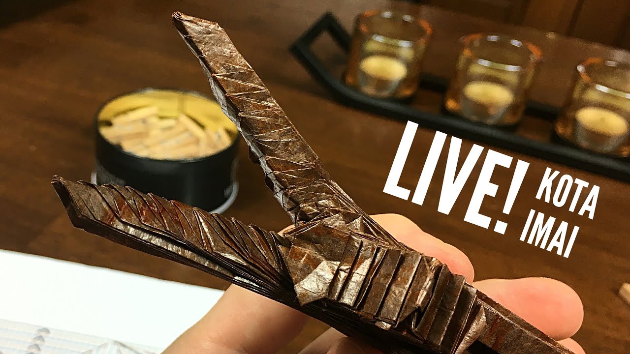 Origami Whip Spider (Kota lmai) Live Shaping! - YouTube