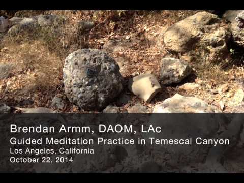 Dr. Brendan Armm's Guided Meditation Class (10/22/14) - YouTube
