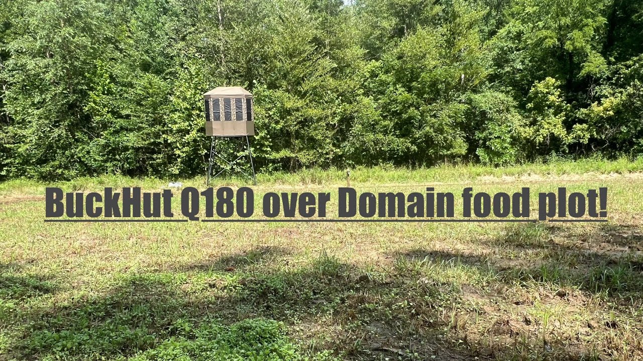 Domain Food Plot update and revealing my MillenniumBuck Hut Q180! - YouTube