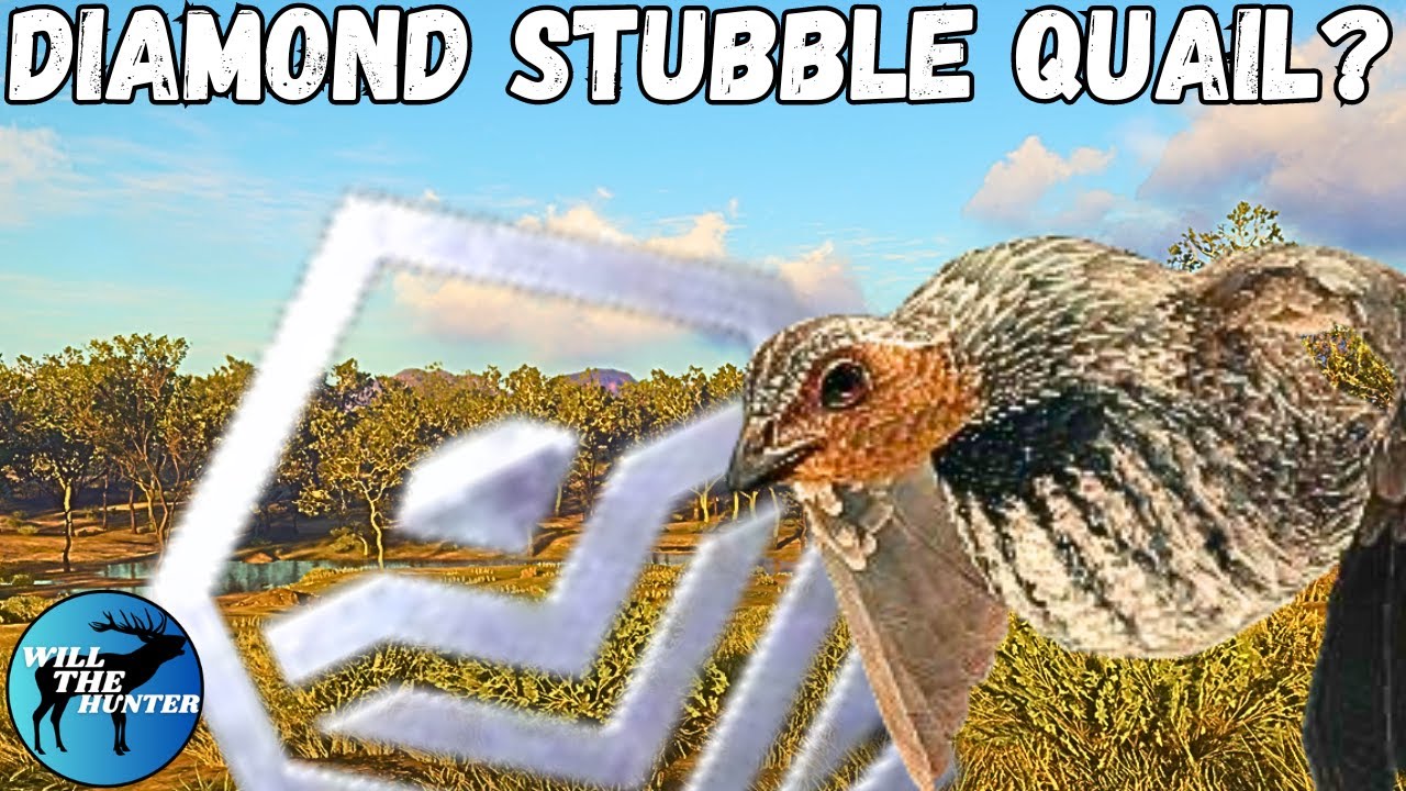 Did We Just Find Our First Diamond Stubble Quail?!! | TheHunter Call Of ...