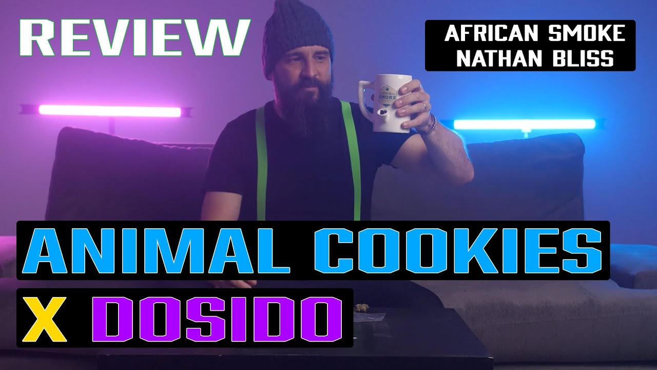 Animal cookies x Dosido - African Smoke Headshop - Nathan Bliss - YouTube