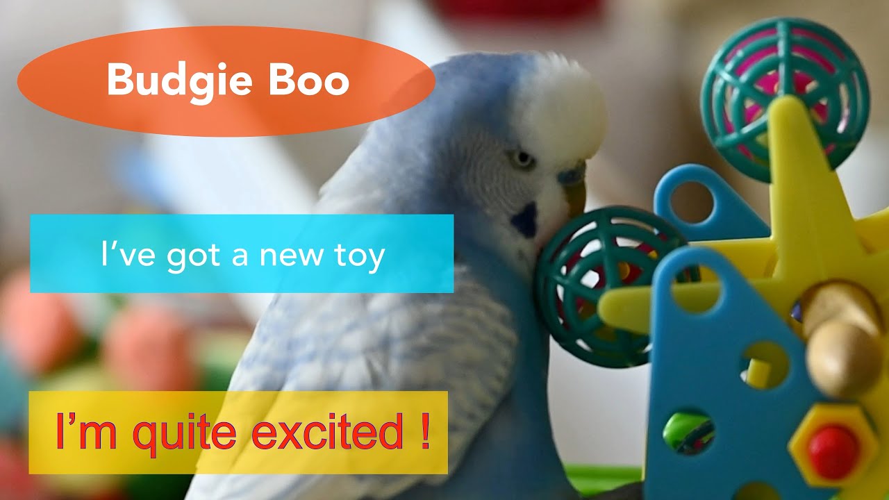 I’m so excited ! - YouTube