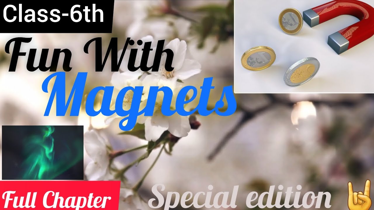 Fun Wïth Magnets Full Chapter Class 6th Science |NCERT Science class ...
