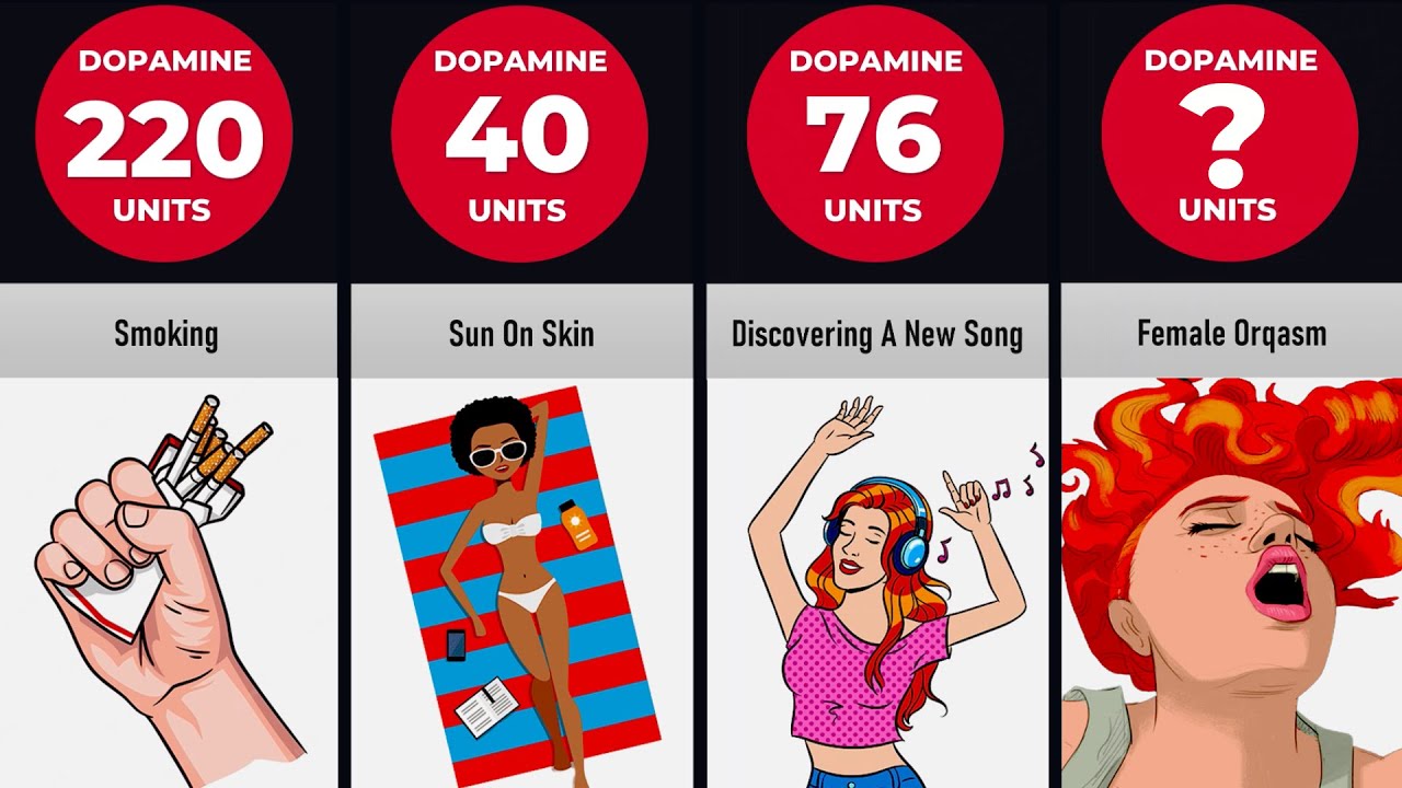 A Comparison of Human Pleasure ! - YouTube