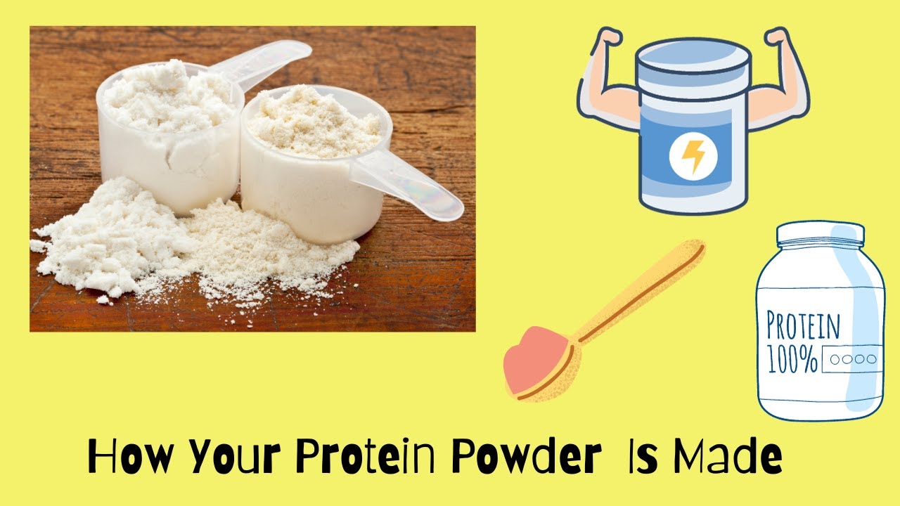 The Fascinating Process Behind Protein Powder Production - YouTube