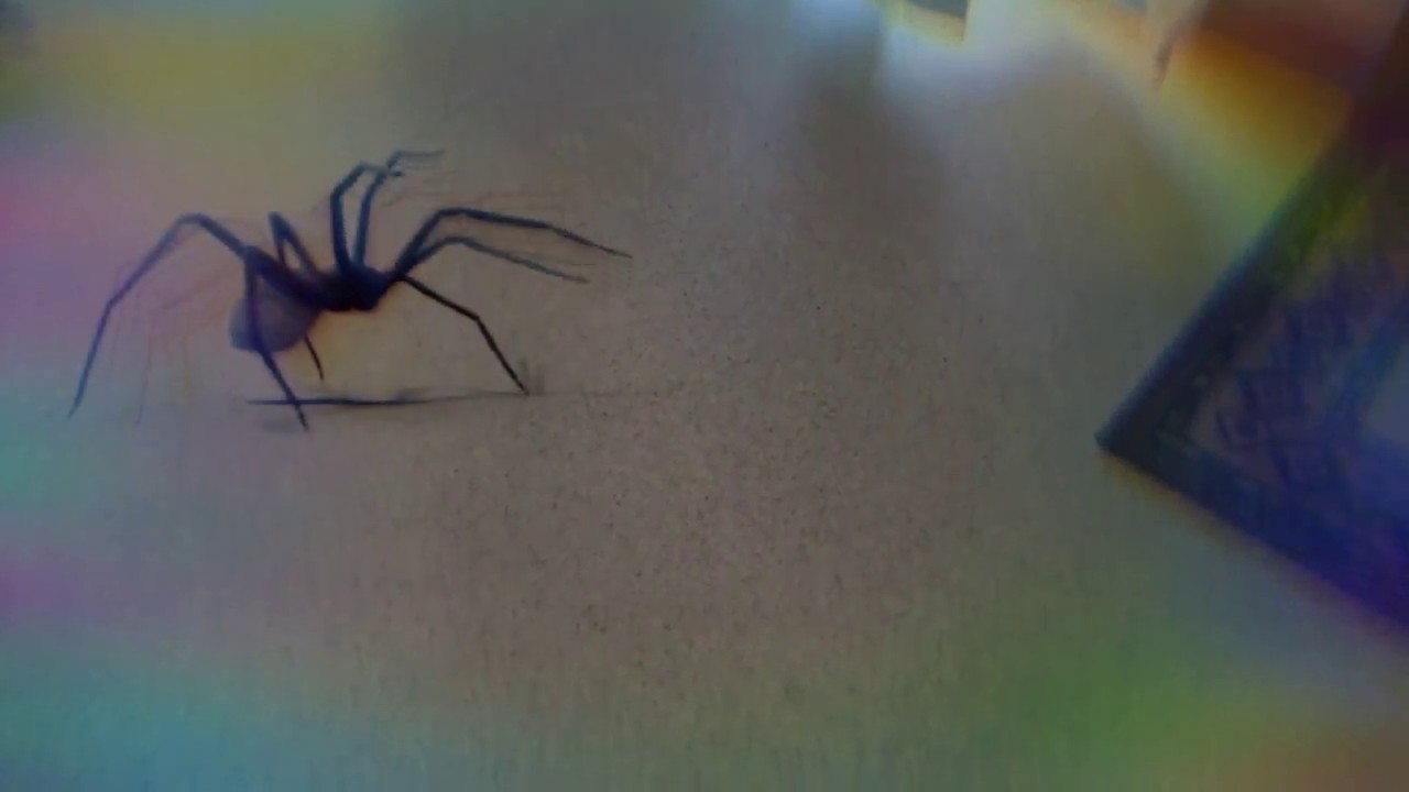 Giant spider attack ?😬 - YouTube