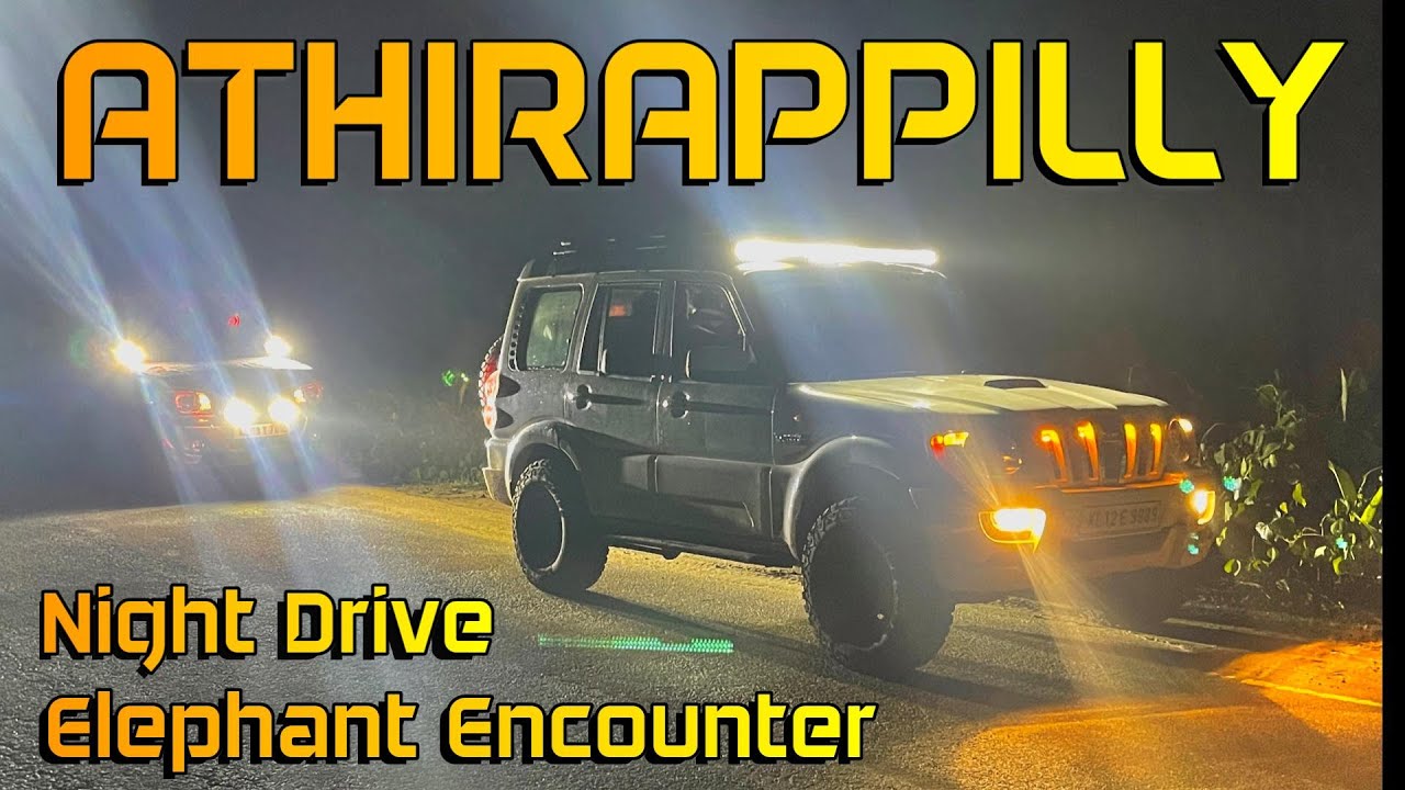 Athirappilly Night Drive | Elephant Encounter - YouTube