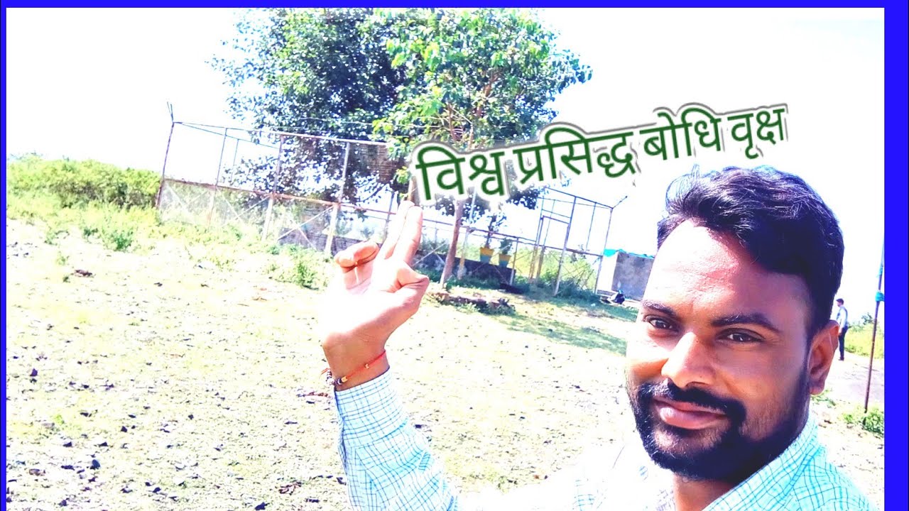 Vvip Tree Salamatpur Hills trees under police protection Bodhi Tree ...