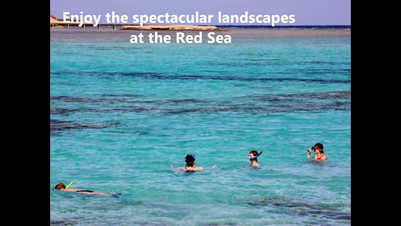 Red Sea Holiday Packages - Shaspo Tours - YouTube