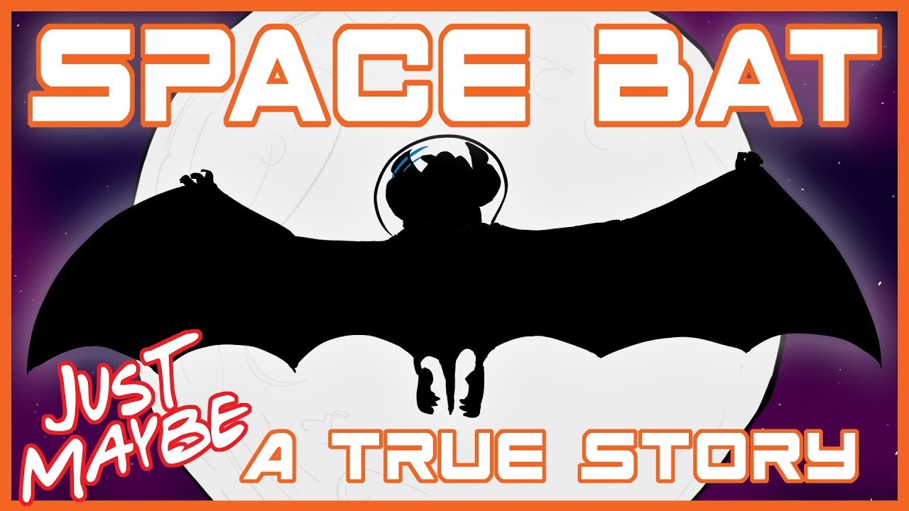 Space Bat: The Bat Who Hitched a Ride to Space - YouTube