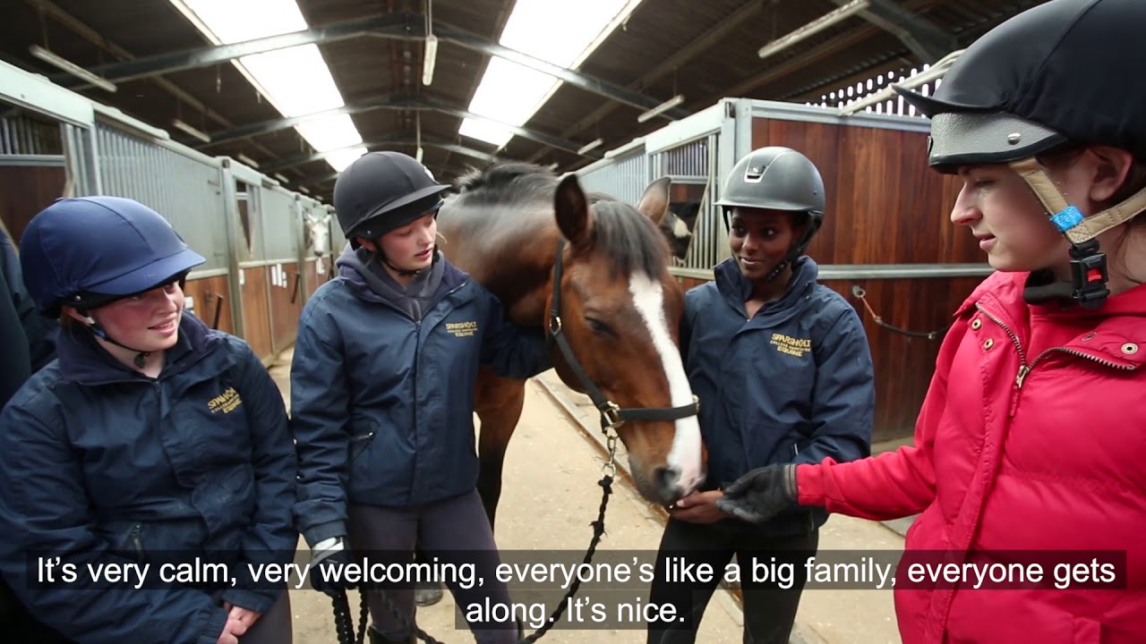 Sparsholt College Equine Care students - Lizzie & Scarlett talk about ...