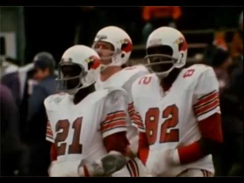 1974 NFC Playoff: St. Louis Cardinals at Minnesota Vikings Highlights ...