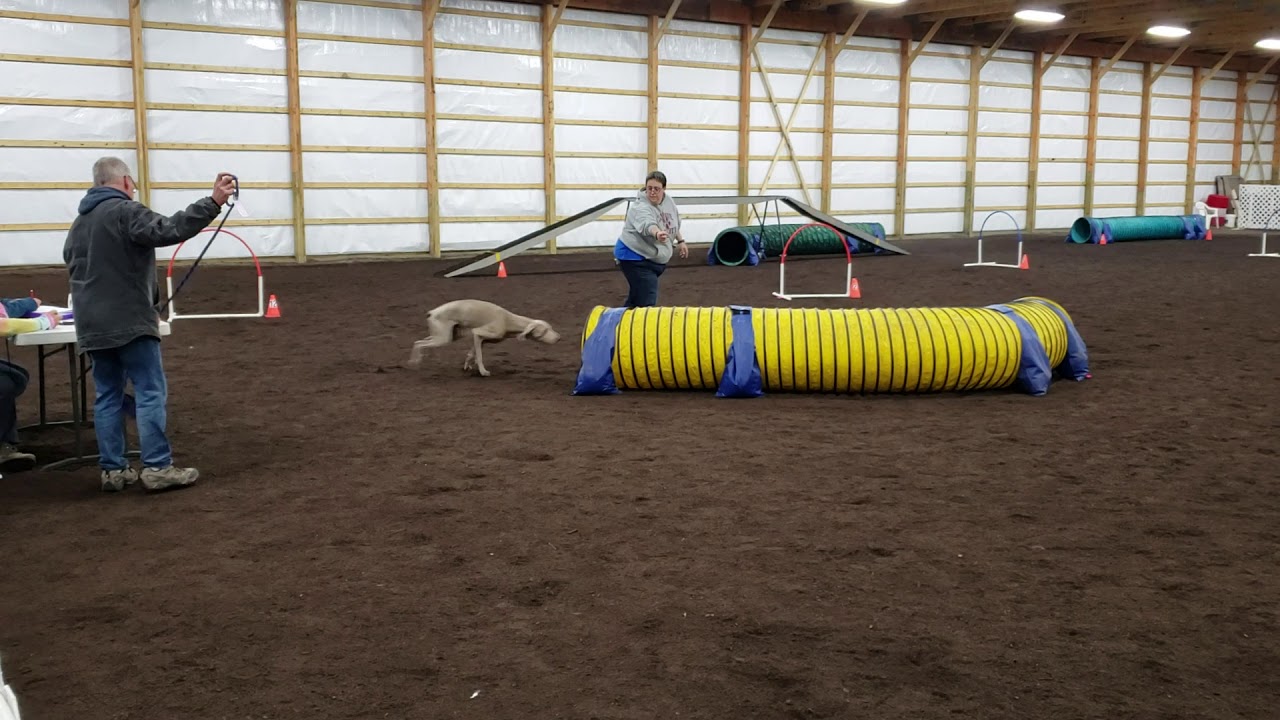 Ninja Touch & Go Round 1 Bonus 10/12/19 - YouTube