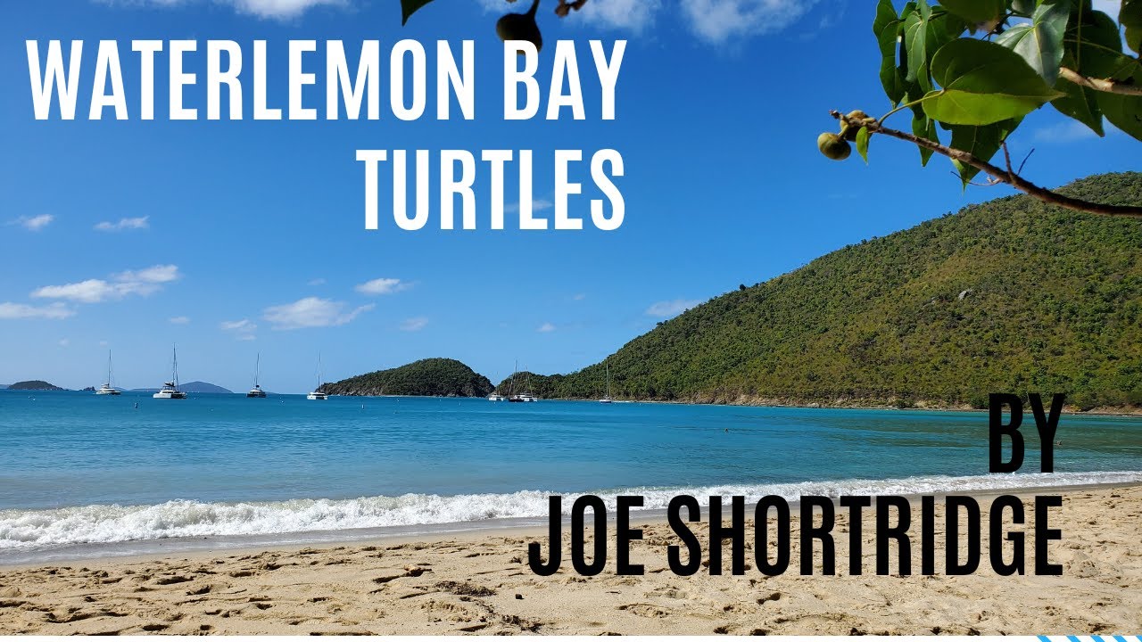 ST. JOHNS WATERLEMON BEACH USVI TURTLES - YouTube